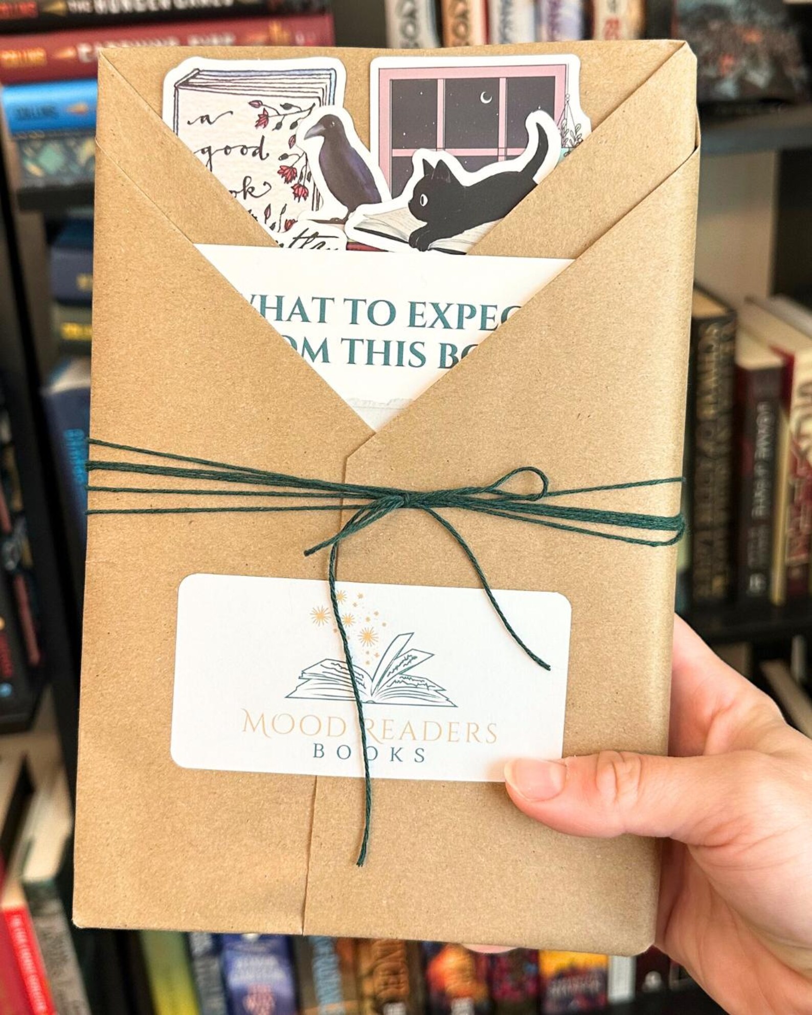 Blind Date With a Book - Fantasy Romance | Indie Authors - Etsy