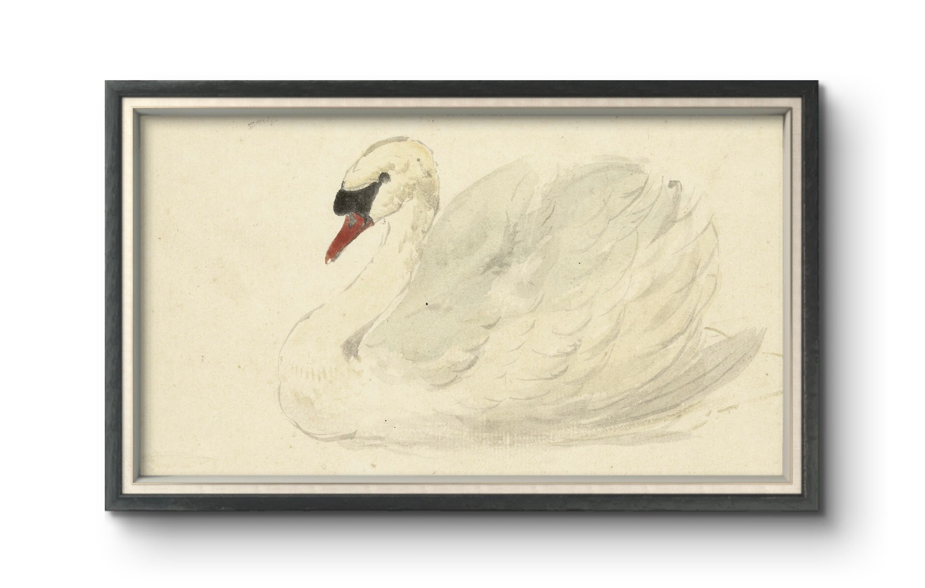 Frame TV Swan Art | Swan Painting | Instant Download - Etsy