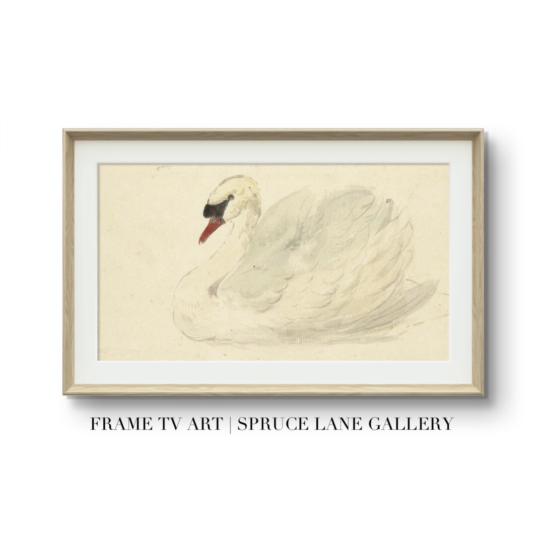 Frame TV Swan Art | Swan Painting | Instant Download - Etsy