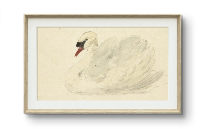 Frame TV Swan Art | Swan Painting | Instant Download - Etsy