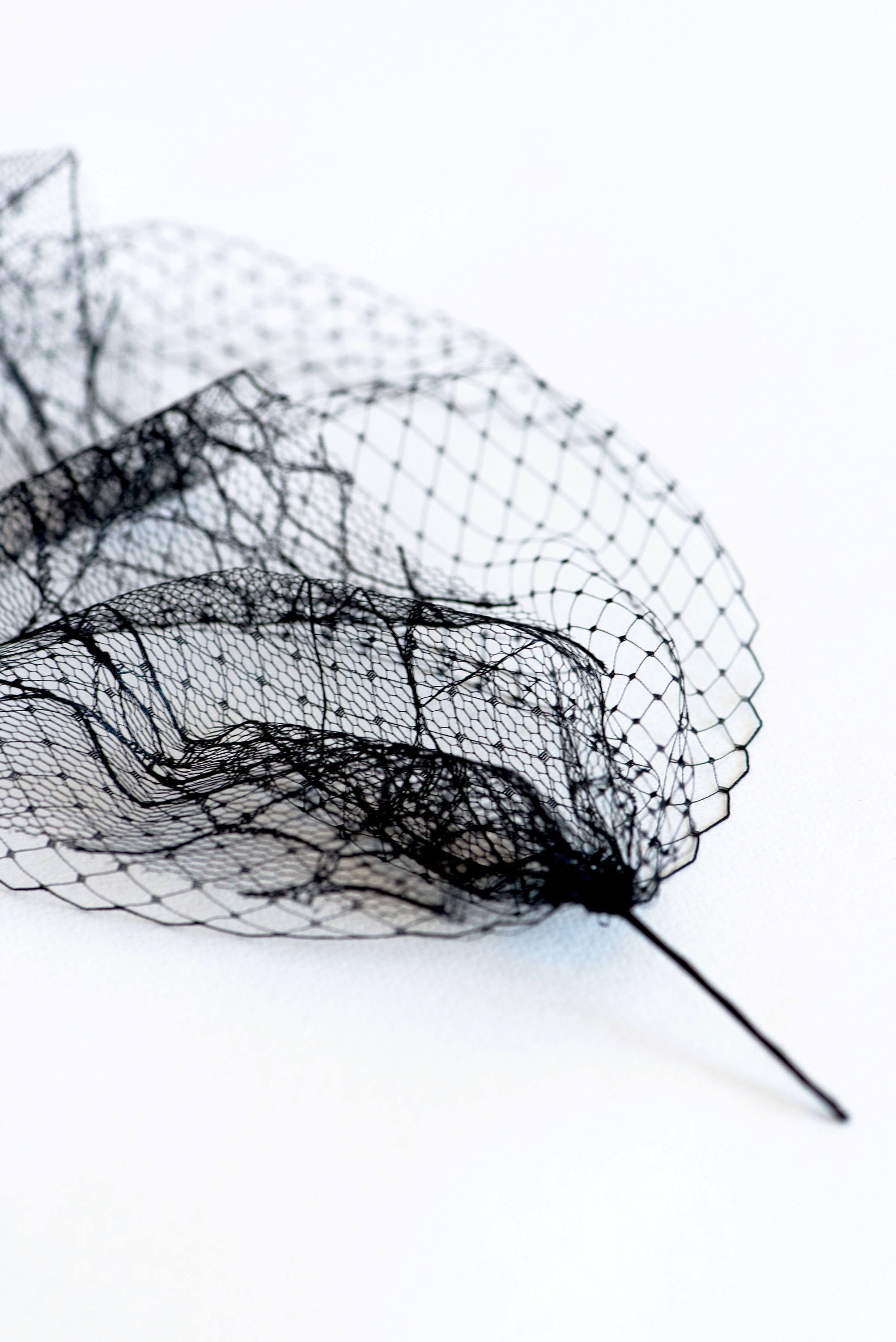 Spider web veil Black spider web veil Spider web lace veil | Etsy