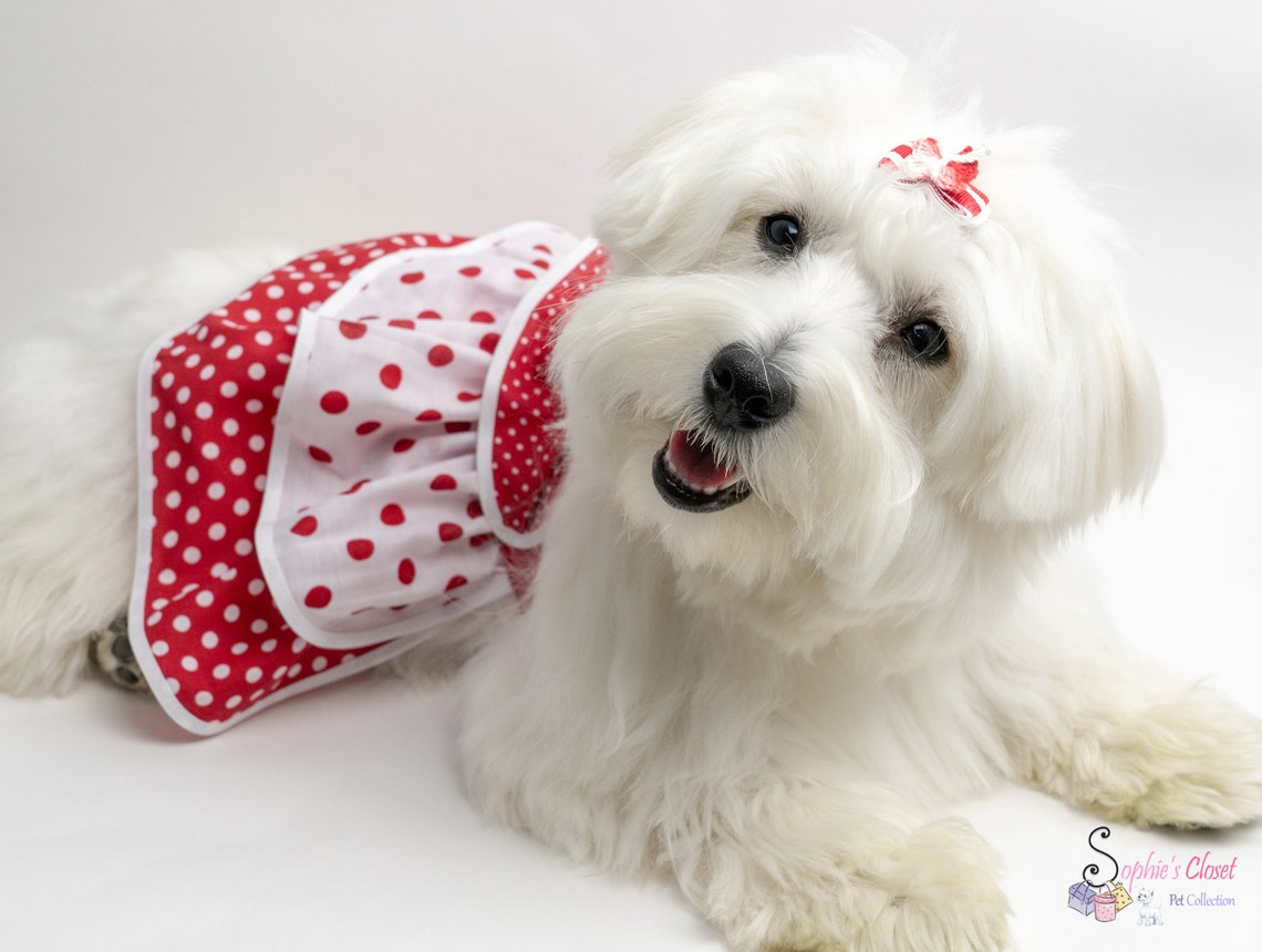 Summer Dog Dress L Cotton Fabric Dress for Dogs Pet | Etsy