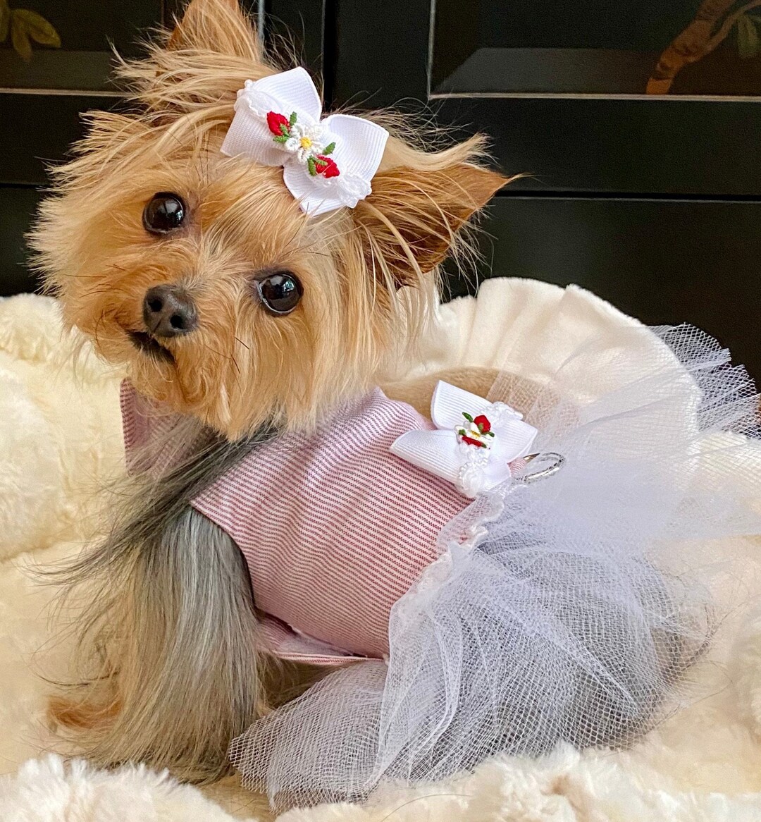 Tea Cup Dog Harness - Puppy Clothes, Harness for Dogs, Girl Dog Harness ...