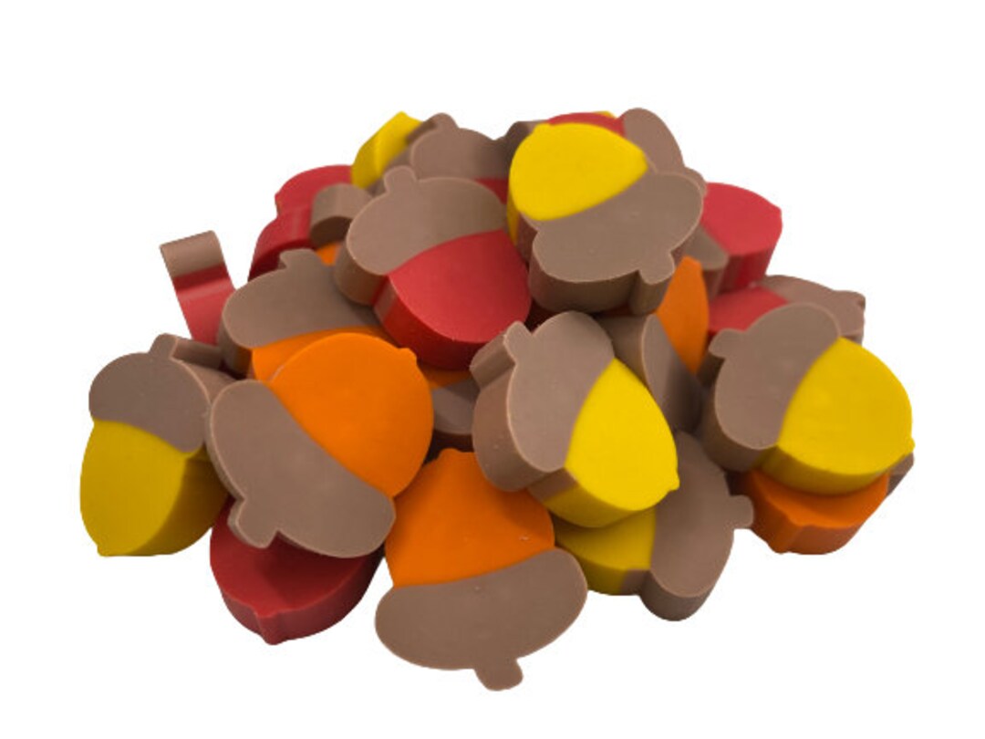 Mini Acorn Erasers for Teachers, Fall Mini Erasers for Kids, Montessori ...