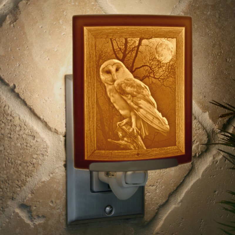 Night Owl Wall Light - Etsy