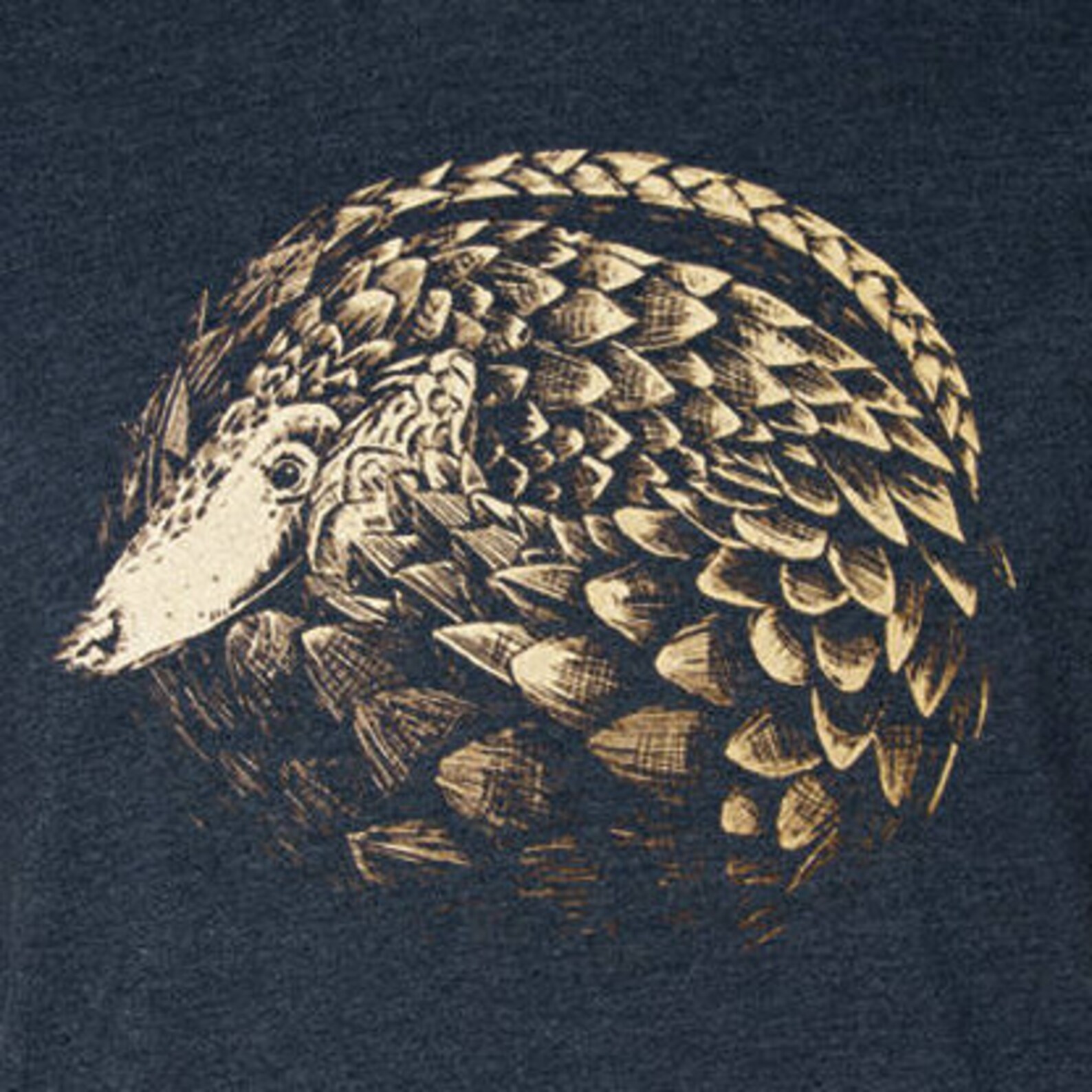 Unisex Pangolin T-shirt, Gifts for Him, 10% Donated to Animal Causes ...