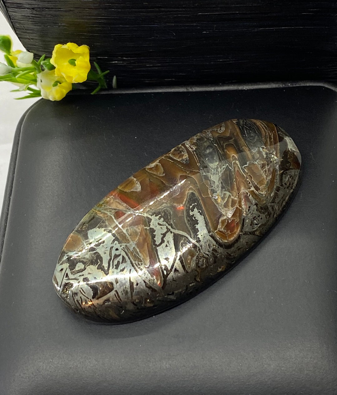 Ammolite Ammonite Fossil Cabochon: Pyrite & Calcite Inclusions - Etsy