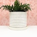 Dotted Stripe Ceramic Planter-large - Etsy