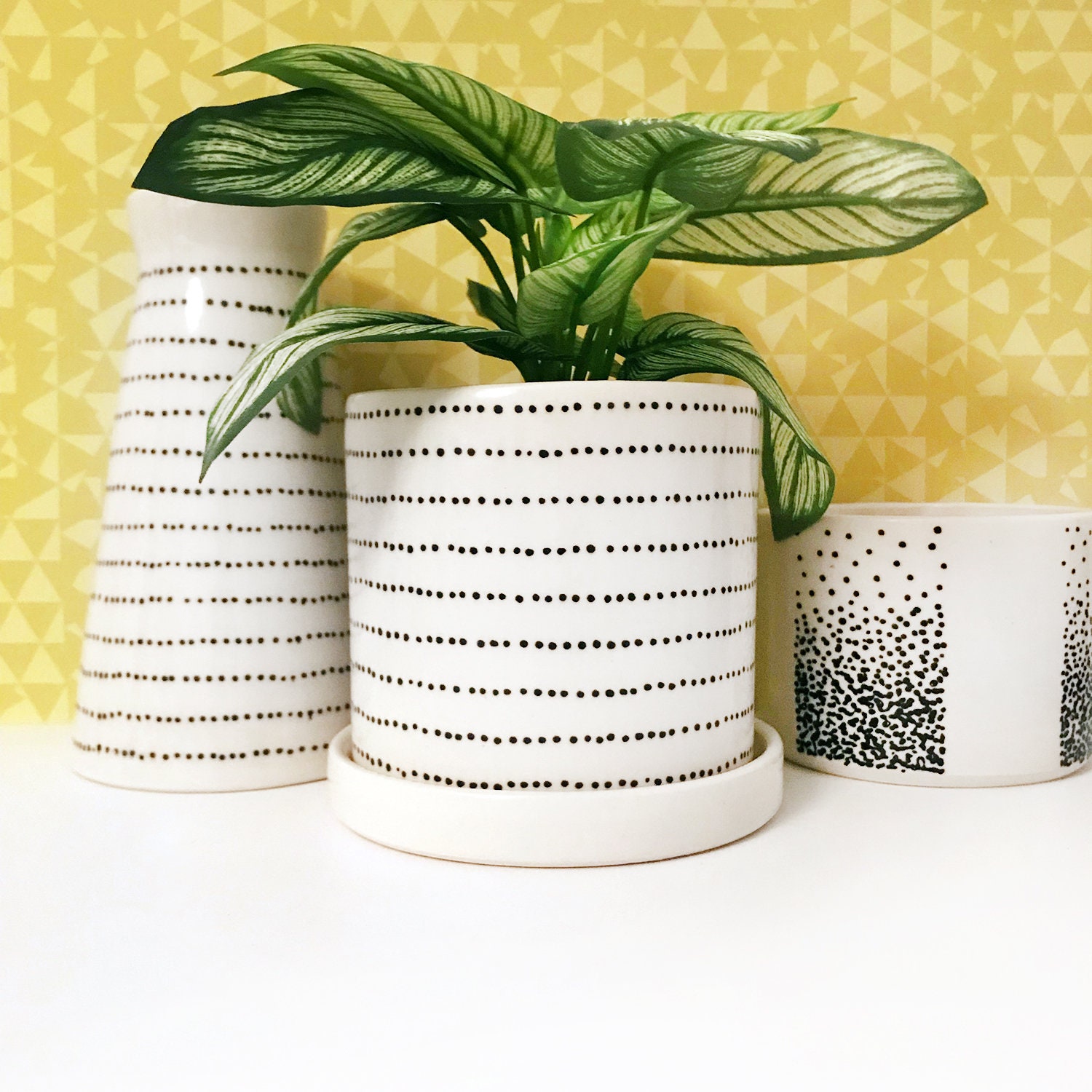 Dotted Stripe Ceramic Planter-medium - Etsy