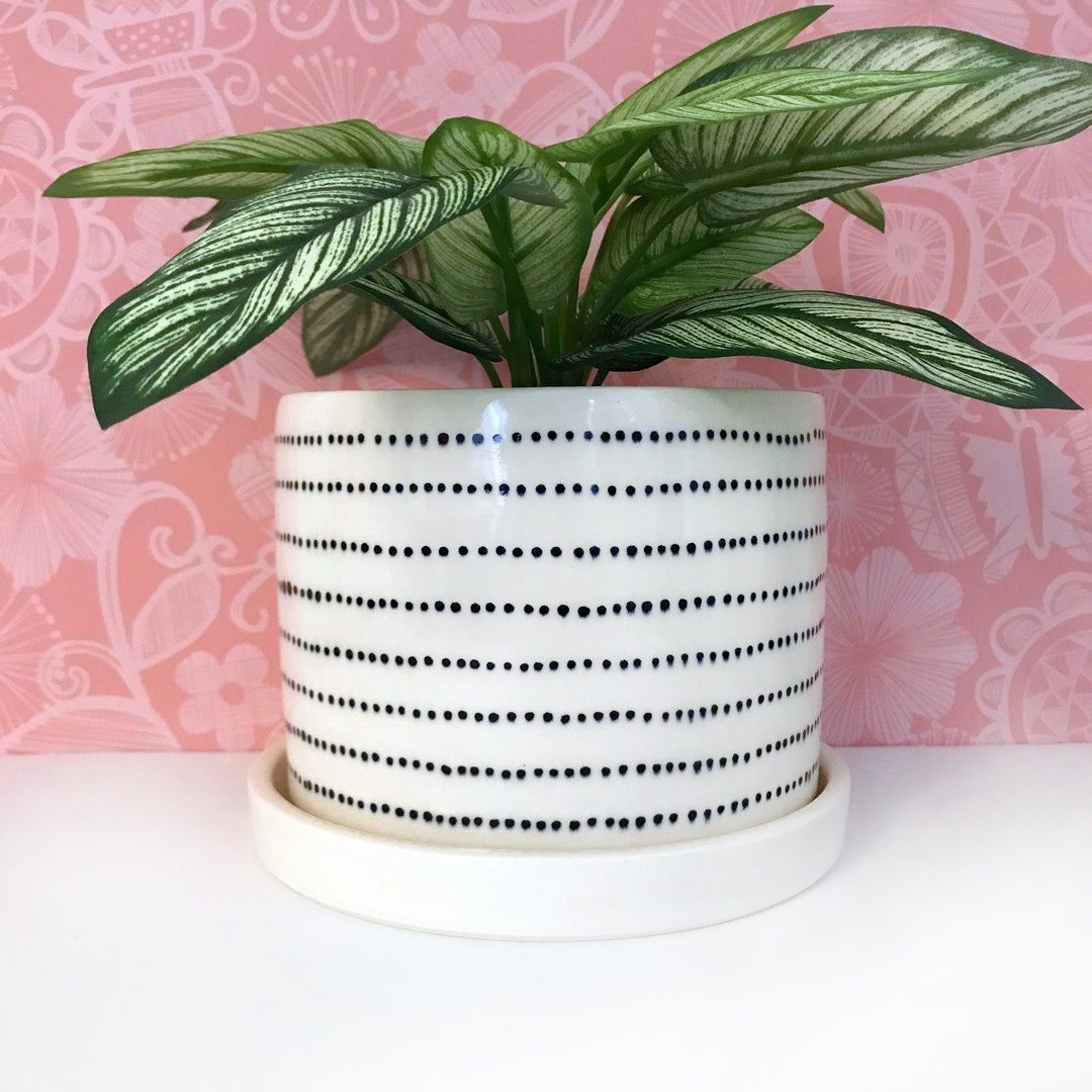 Dotted Stripe Ceramic Planter-large - Etsy