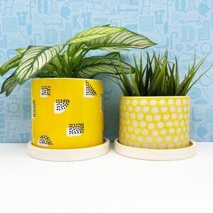 Yellow Dot Shadow Ceramic Planter-medium With Drainage Tray - Etsy