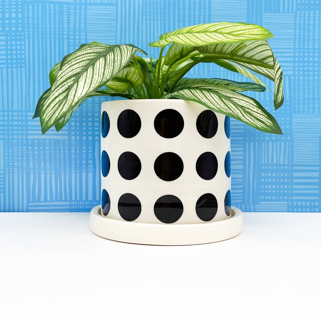Large Black Dots Ceramic Planter-medium With Drainage Tray - Etsy