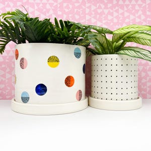Half Dot Ceramic Planter - Large - Etsy