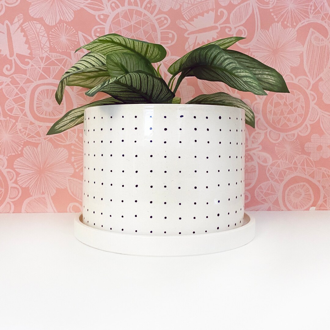 Pin Dot Ceramic Planter-large - Etsy