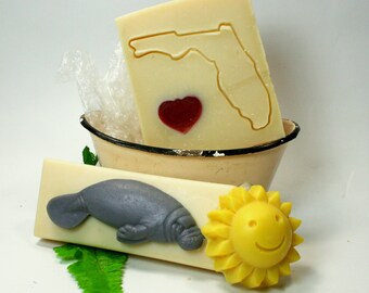 Florida Themed Gift - Etsy