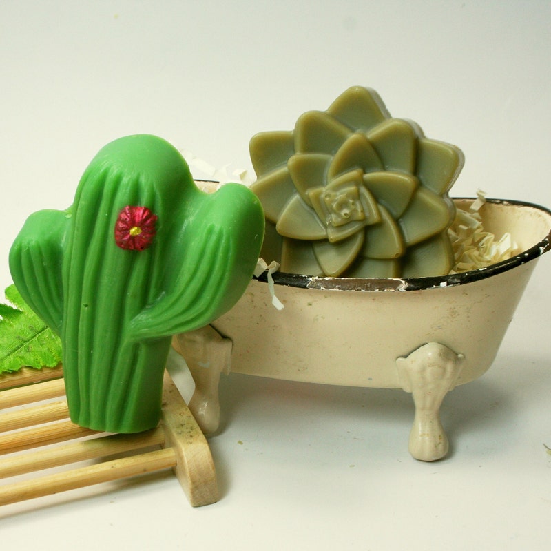 Cactus Theme - Etsy