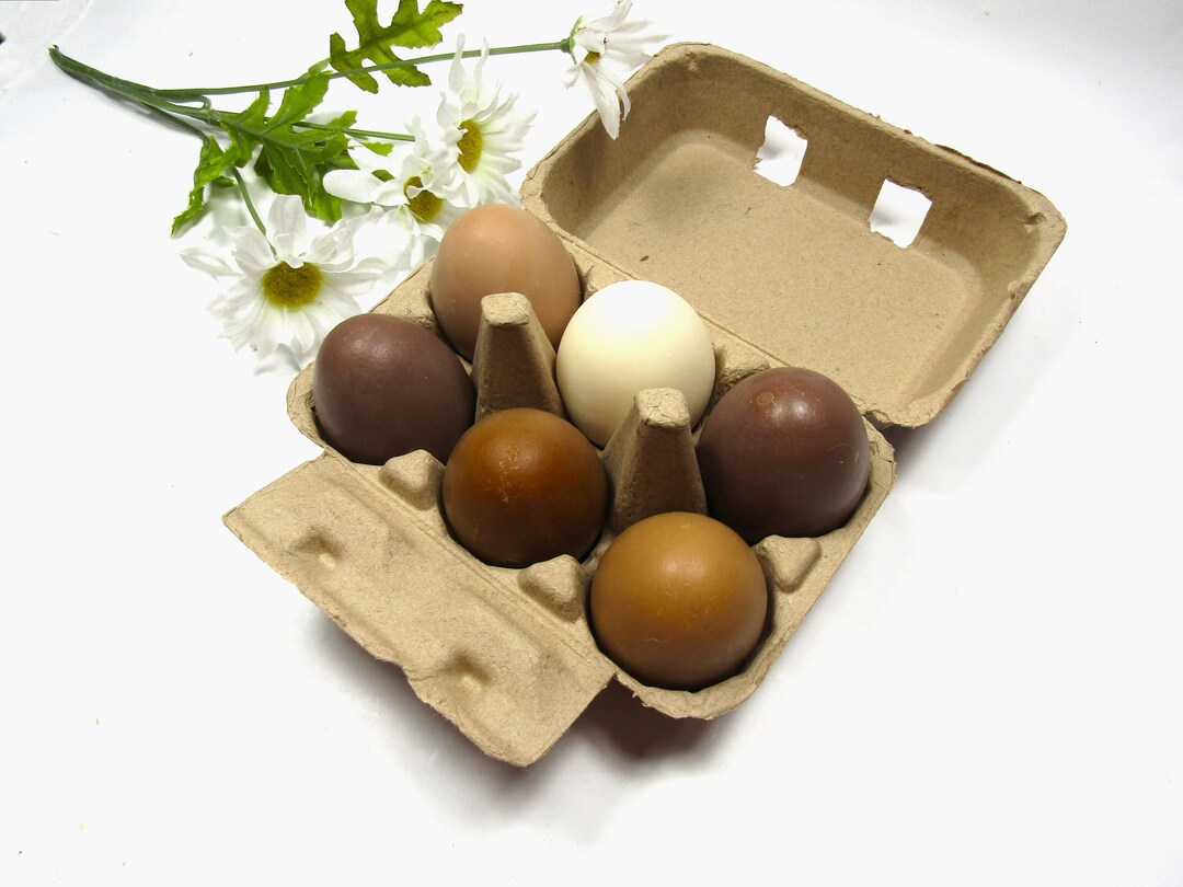 Carton of Fresh Chicken Egg Soaps Gift for Chicken Lover, Chicken Decor ...