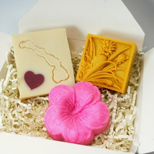 Hawaii State Soap Set, Hawaii Gift, Hawaii Souvenir, Hawaii Themed Gift ...