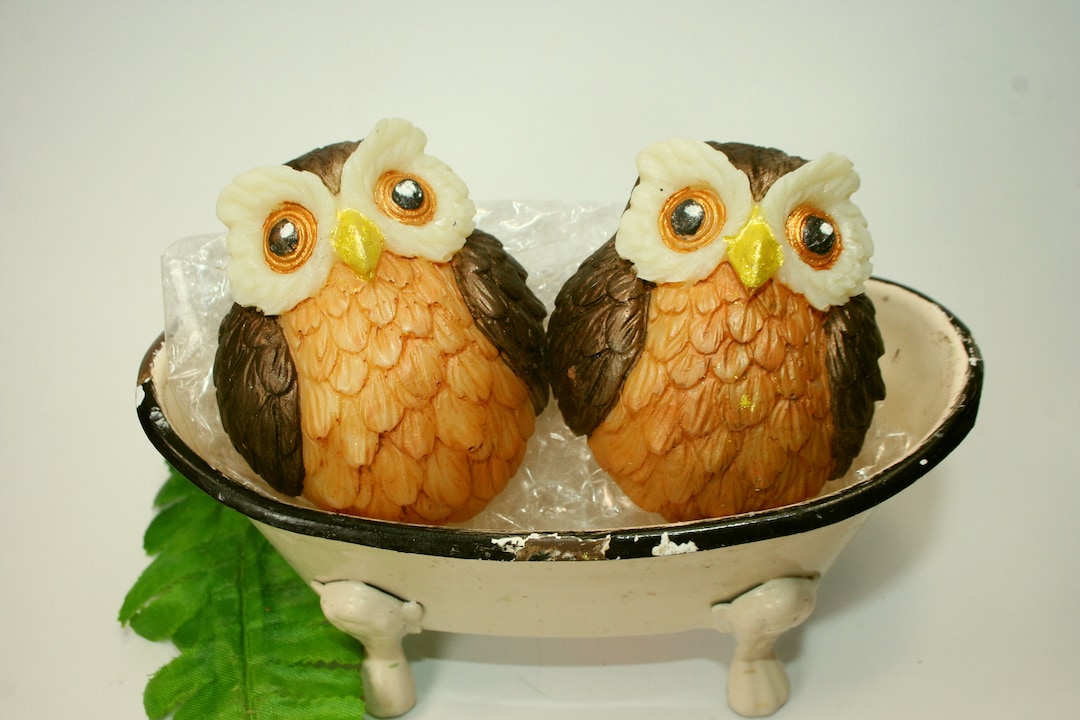 Owl Soap, Adorable Owls Soap With Hand Painted Details, Gift for Owl ...
