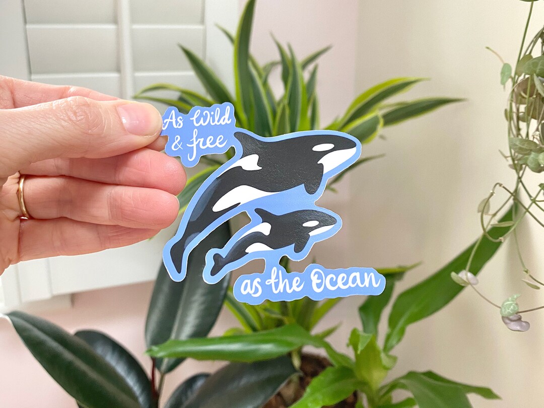 Illustrated Orca Sticker. Whale Ocean Die Cut Waterproof Sticker - Etsy