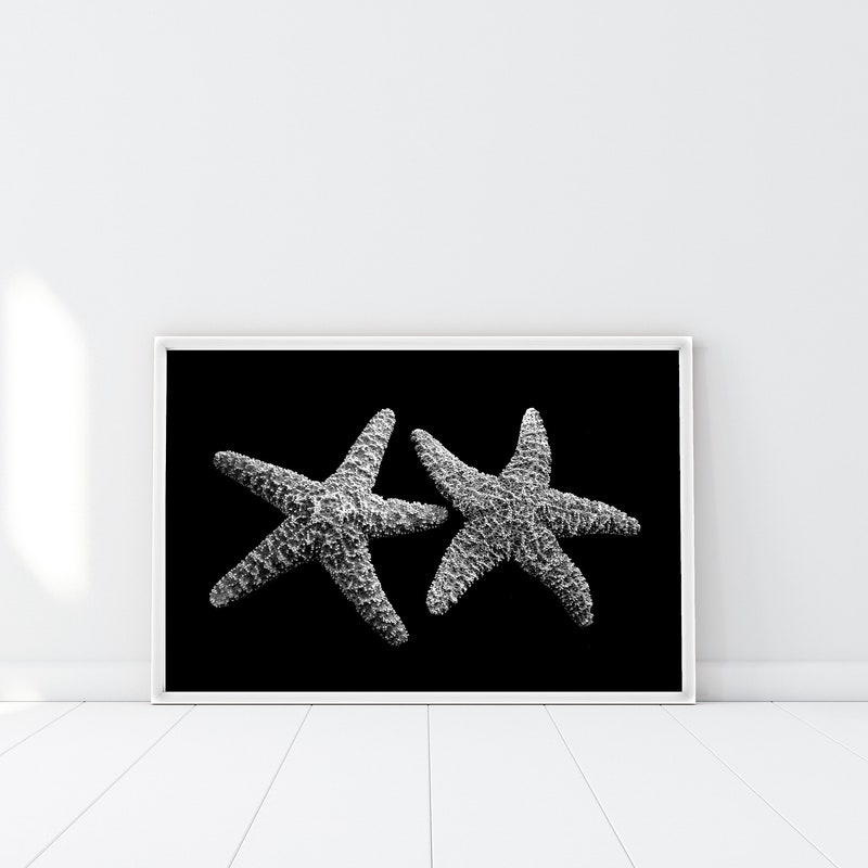 Sea of Stars Poster - Etsy