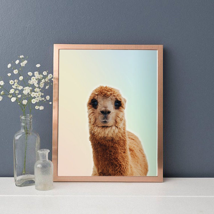 Llama Gift Cute Alpaca Print Ginger Camel poster Fluffy | Etsy