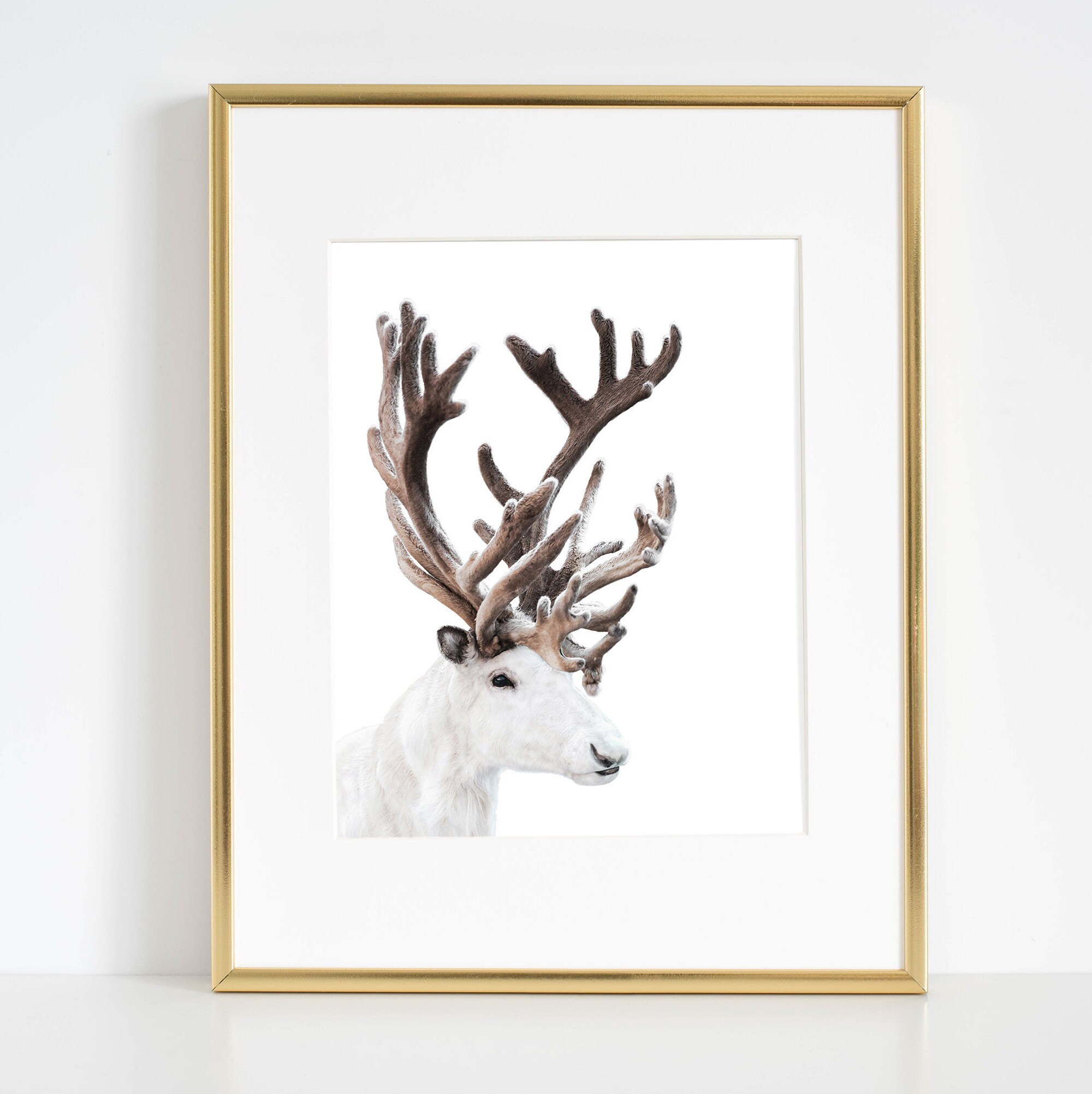 White Reindeer Print, Minimalist Reindeer Poster, White Reindeer ...