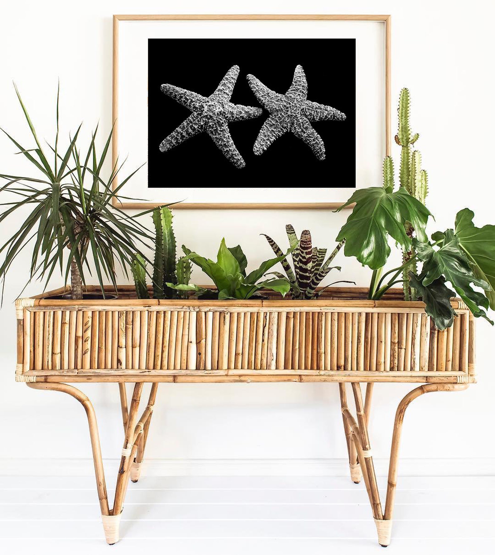 Sea Stars Print Starfish Poster Mermaid Decor Coastal - Etsy Canada