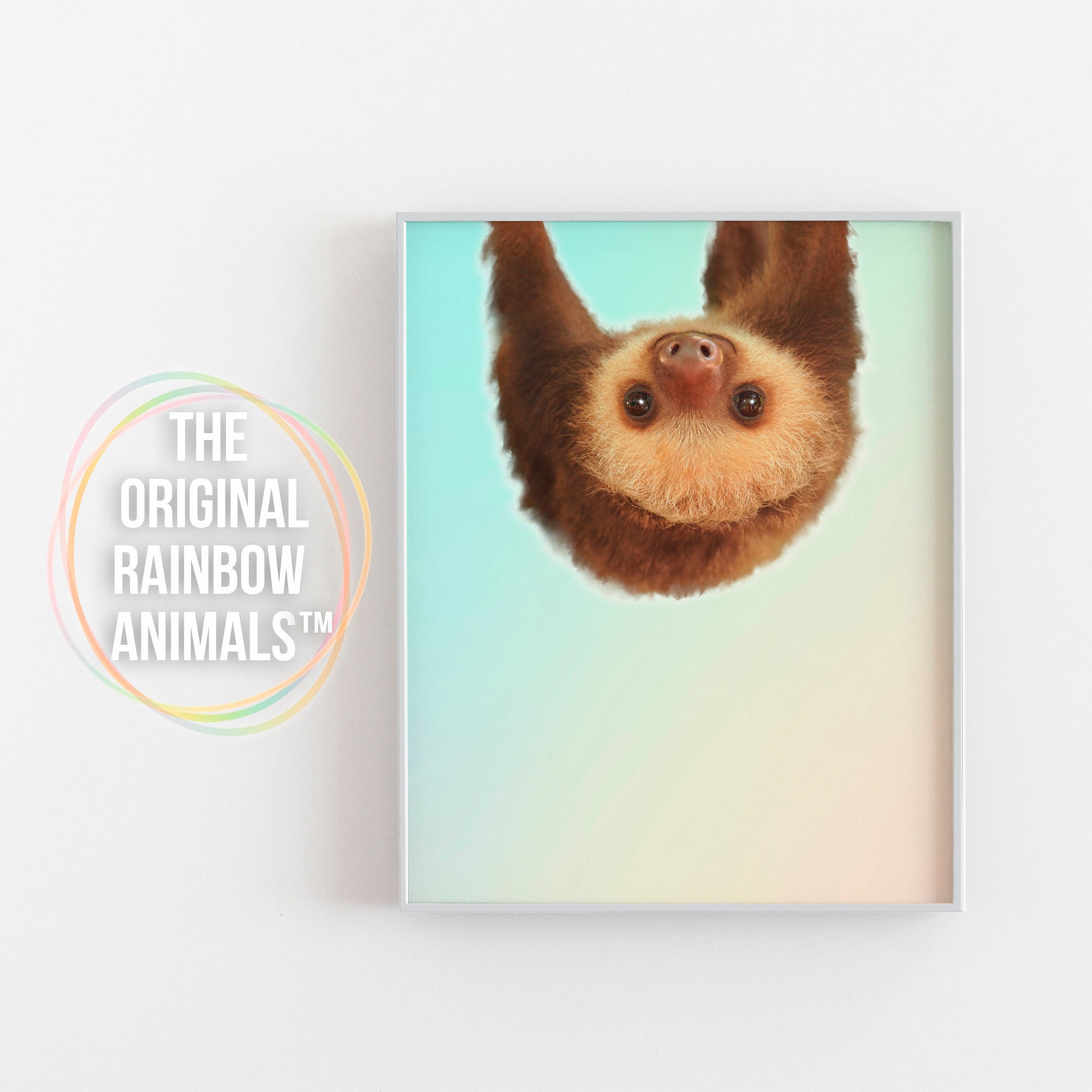 Baby Sloth Poster Cute Sloth Print Pastel Sloth Gift Fluffy | Etsy