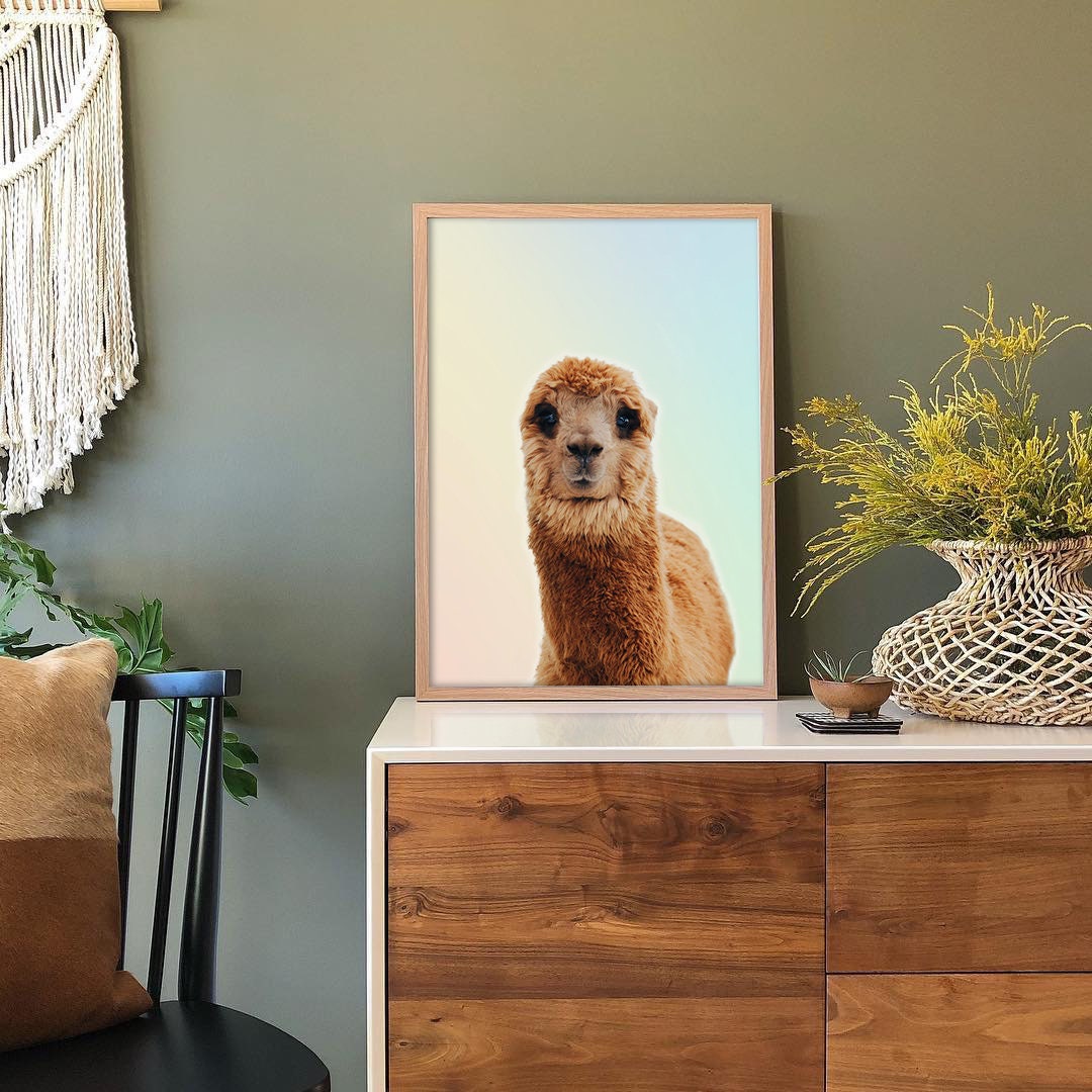 Llama Gift Cute Alpaca Print Ginger Camel poster Fluffy | Etsy