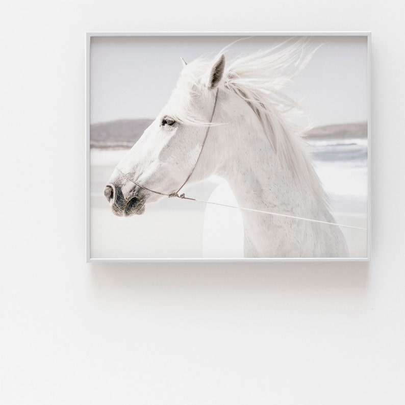Boho Horse Print White Horse Poster Beach Horse Wall Art - Etsy