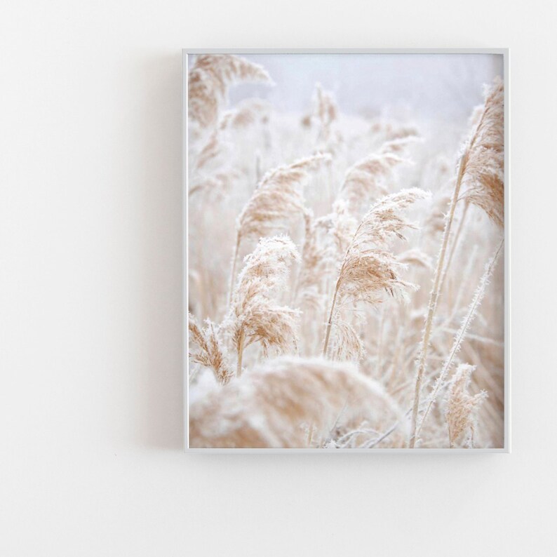 Into the Reeds Print Pampas Art Neutral Botanical Print - Etsy