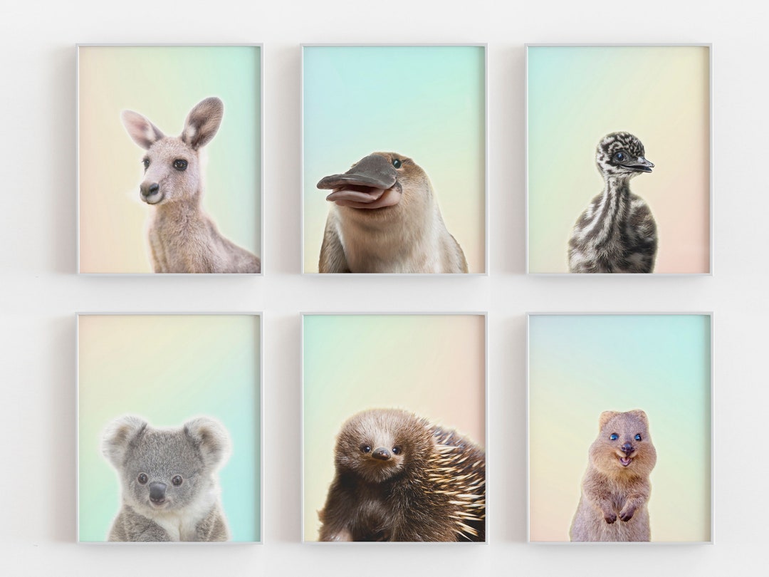 Set of 6 Australian Baby Animals Prints, Rainbow Aussie Cubs Nursery ...