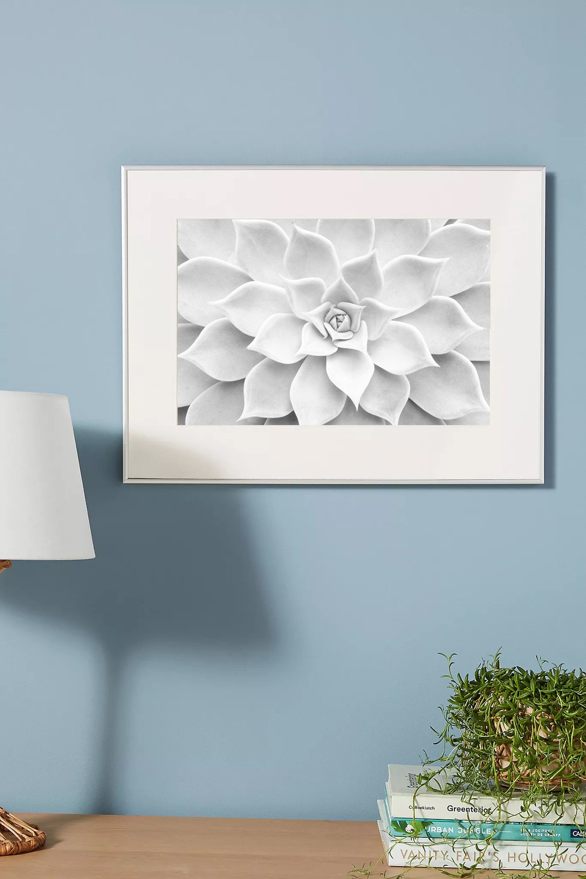 White Succulent Poster White Texture Print White Cactus Art - Etsy