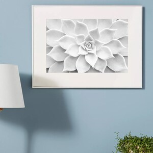 White Succulent Poster, White Texture Print, White Cactus Art, White ...