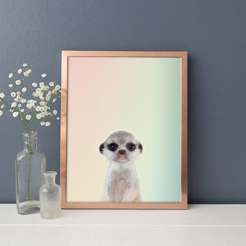 Baby Meerkat Print Cute Suricat Printable Meerkat Cub Timon - Etsy Canada