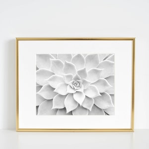 White Succulent Poster, White Texture Print, White Cactus Art, White ...