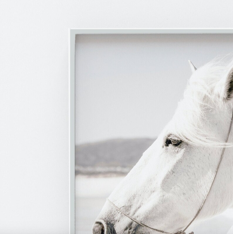 Boho Horse Print White Horse Poster Beach Horse Wall Art - Etsy
