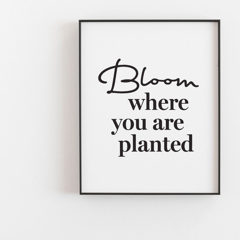 Bloom Where You Are Planted Print Bloom Quote Poster Live in - Etsy