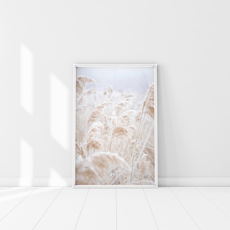 Dried Reeds - Etsy