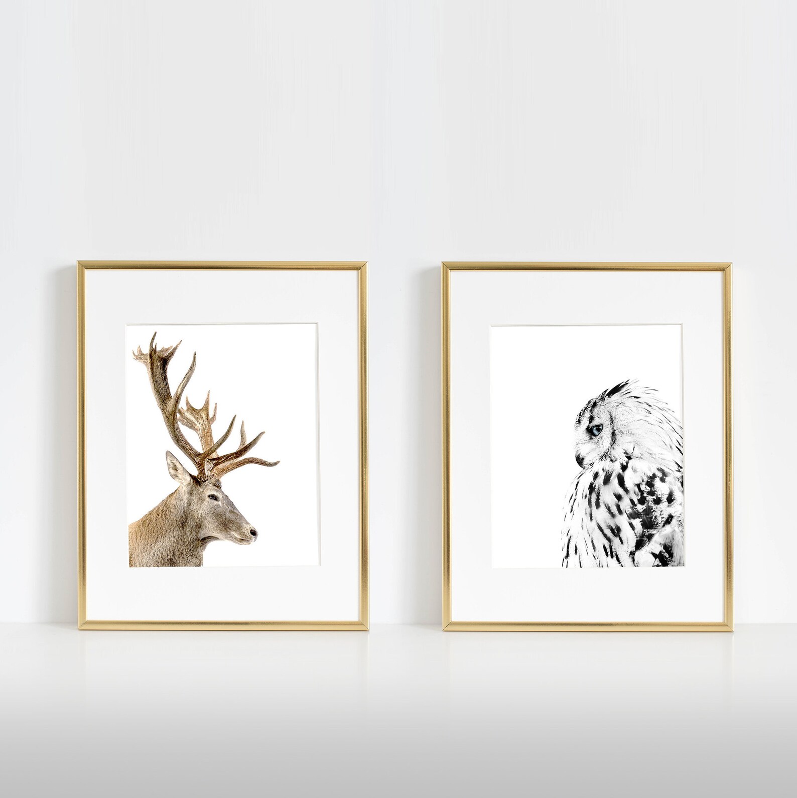 Owl and Deer Print Set of 2 Woodland Animals Wall Art, Owl and Deer ...