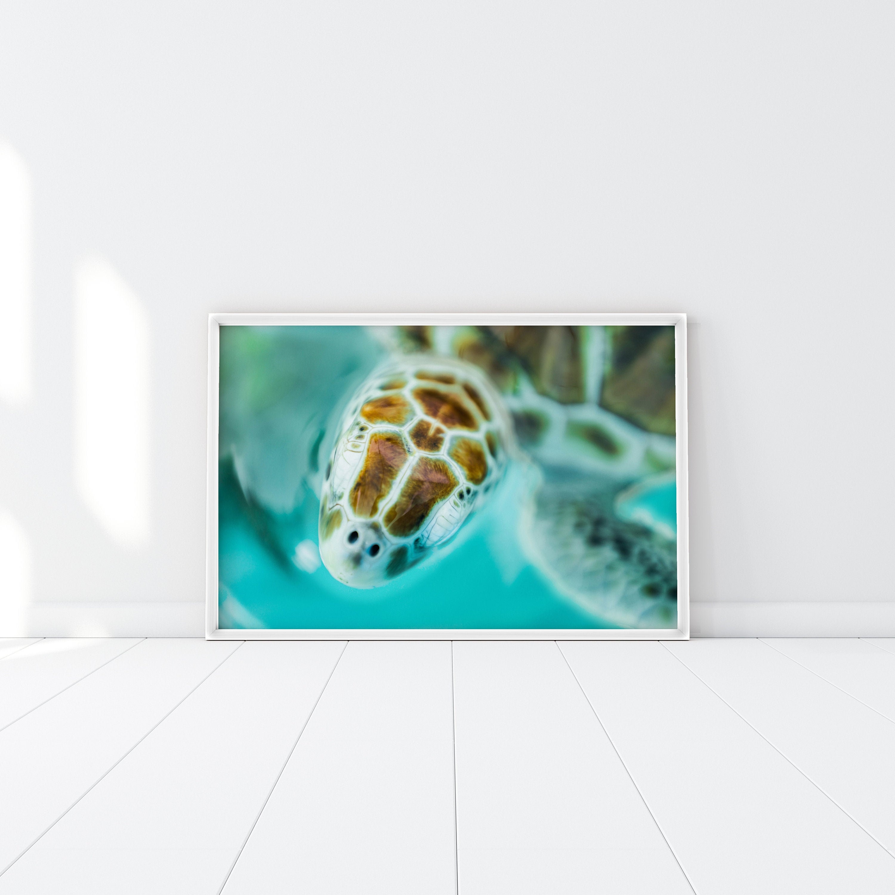 Sea Turtle Print Green Sea Turtle poster Marine Turtle Teal | Etsy