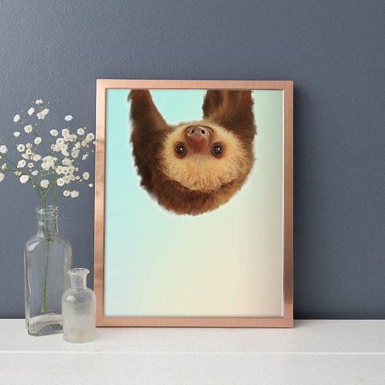 Baby Sloth Poster Cute Sloth Print Pastel Sloth Gift Fluffy | Etsy