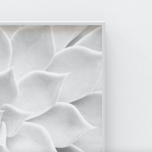 White Succulent Poster, White Texture Print, White Cactus Art, White ...