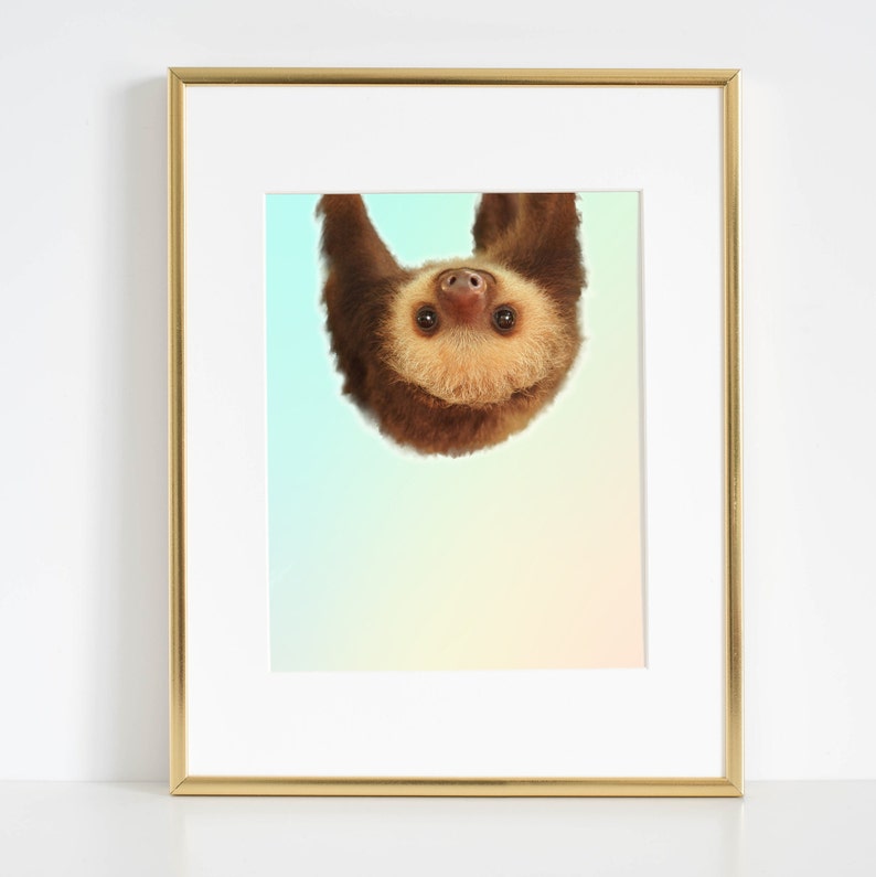 Baby Sloth Poster Cute Sloth Print Pastel Sloth Gift Fluffy | Etsy