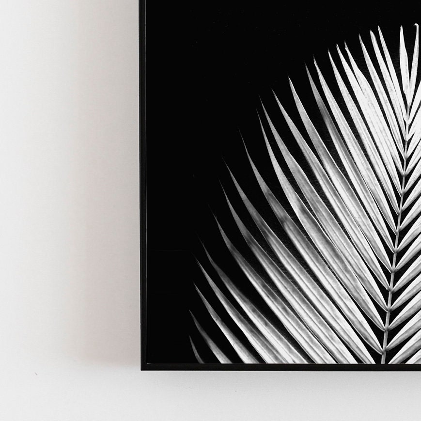 White Palm Portrait Palm Print Tropical Decor Botanical | Etsy