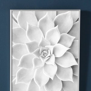 White Succulent Poster, White Texture Print, White Cactus Art, White ...