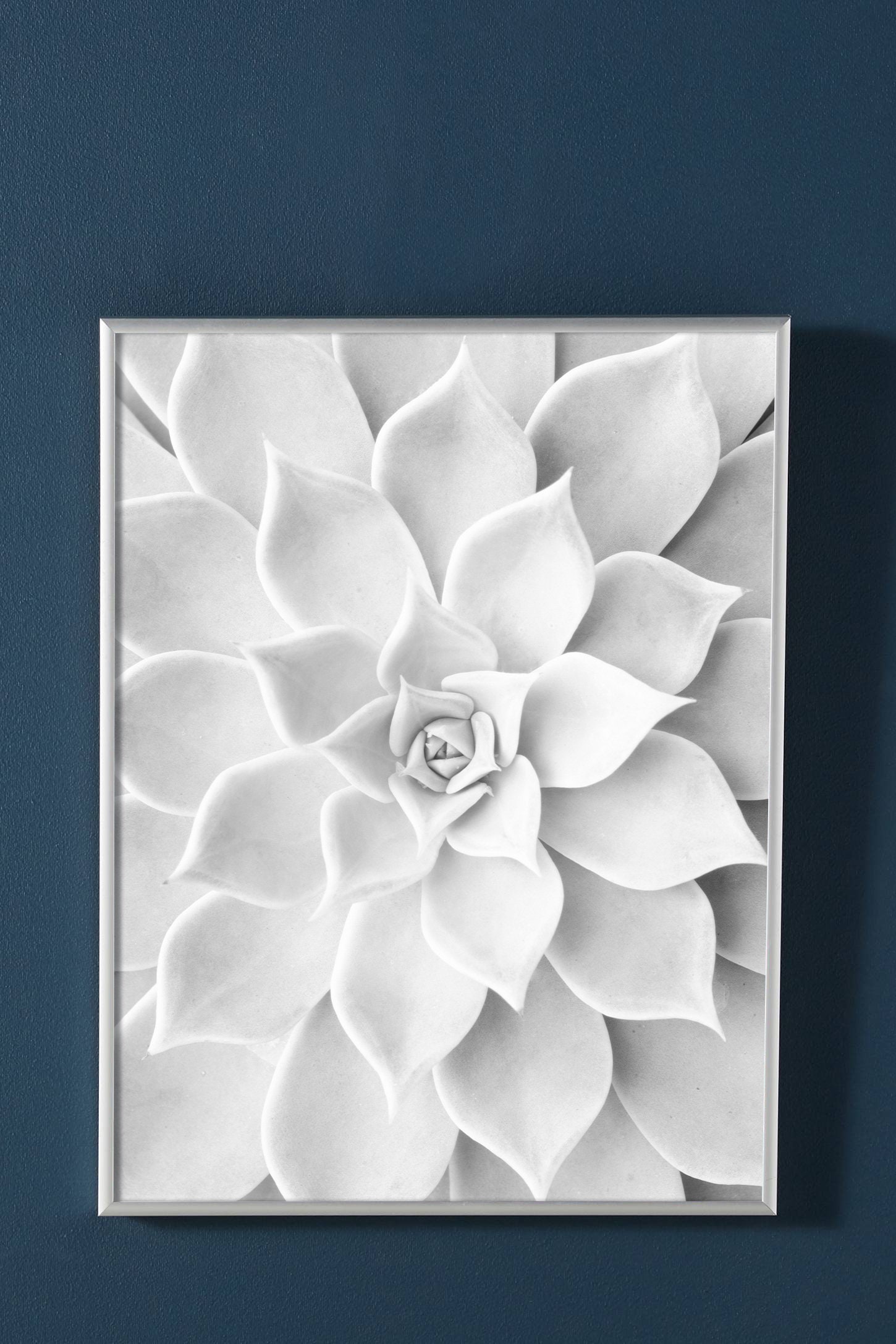 White Succulent Poster White Texture Print White Cactus art | Etsy