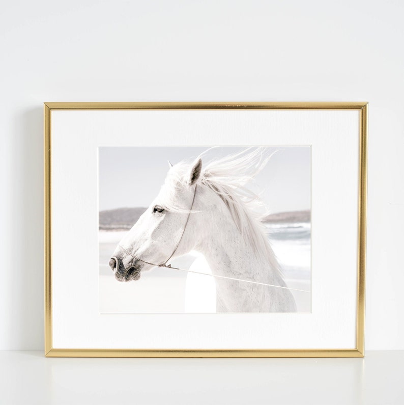 Boho Horse Print White Horse Poster Beach Horse Wall Art - Etsy