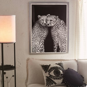 Cheetah Couple Print, 2 Cheetah Poster, Feline Wall Art, African ...
